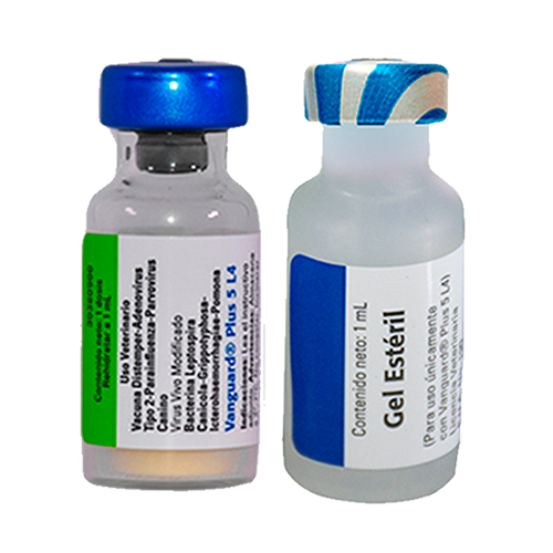 VAC.HEXAVALENTE PLUS + L4 X DS | Union Agronegocios